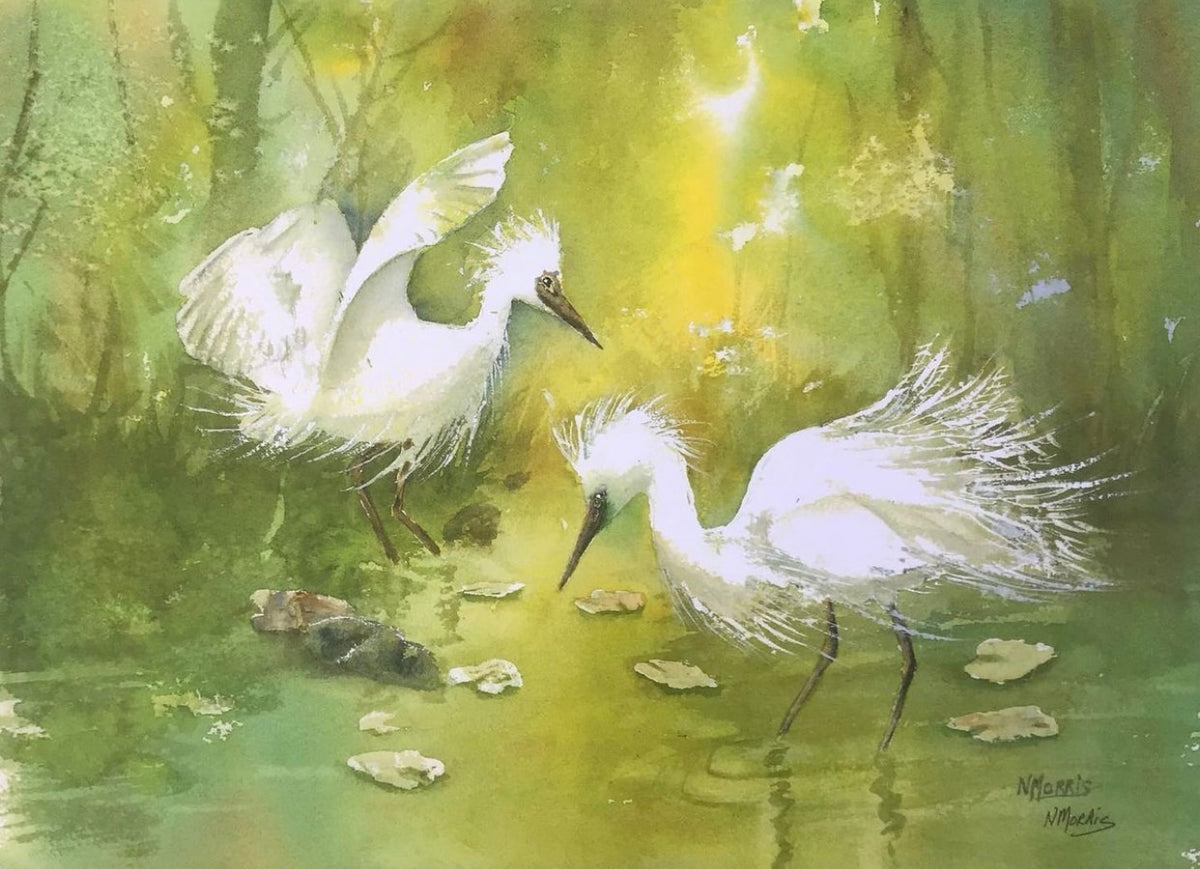 Birds – Nancy Morris Art