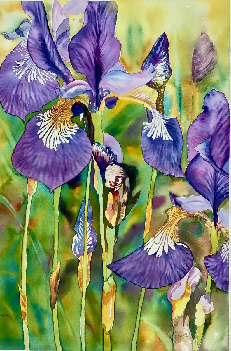 "Iris II" – Nancy Morris Art