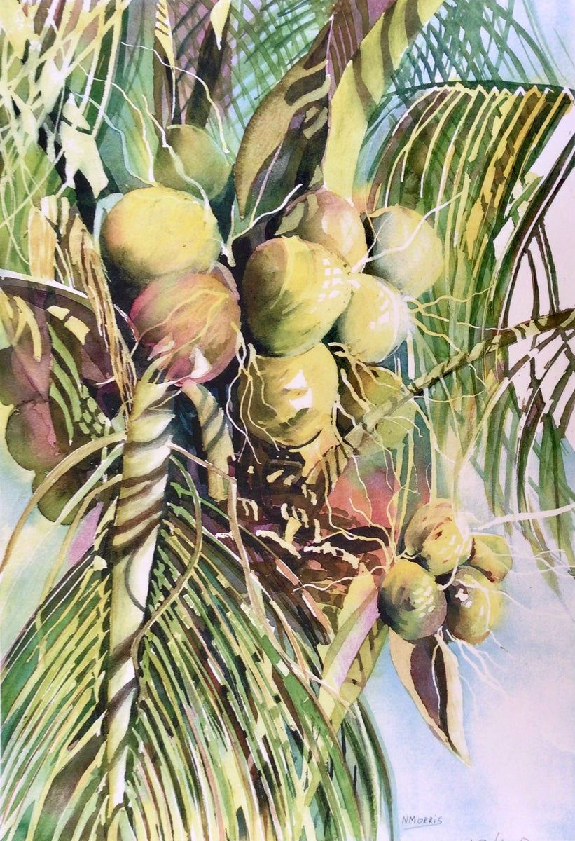 "Coconut Palms" – Nancy Morris Art