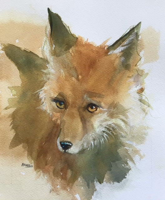 "Red Fox" – Nancy Morris Art